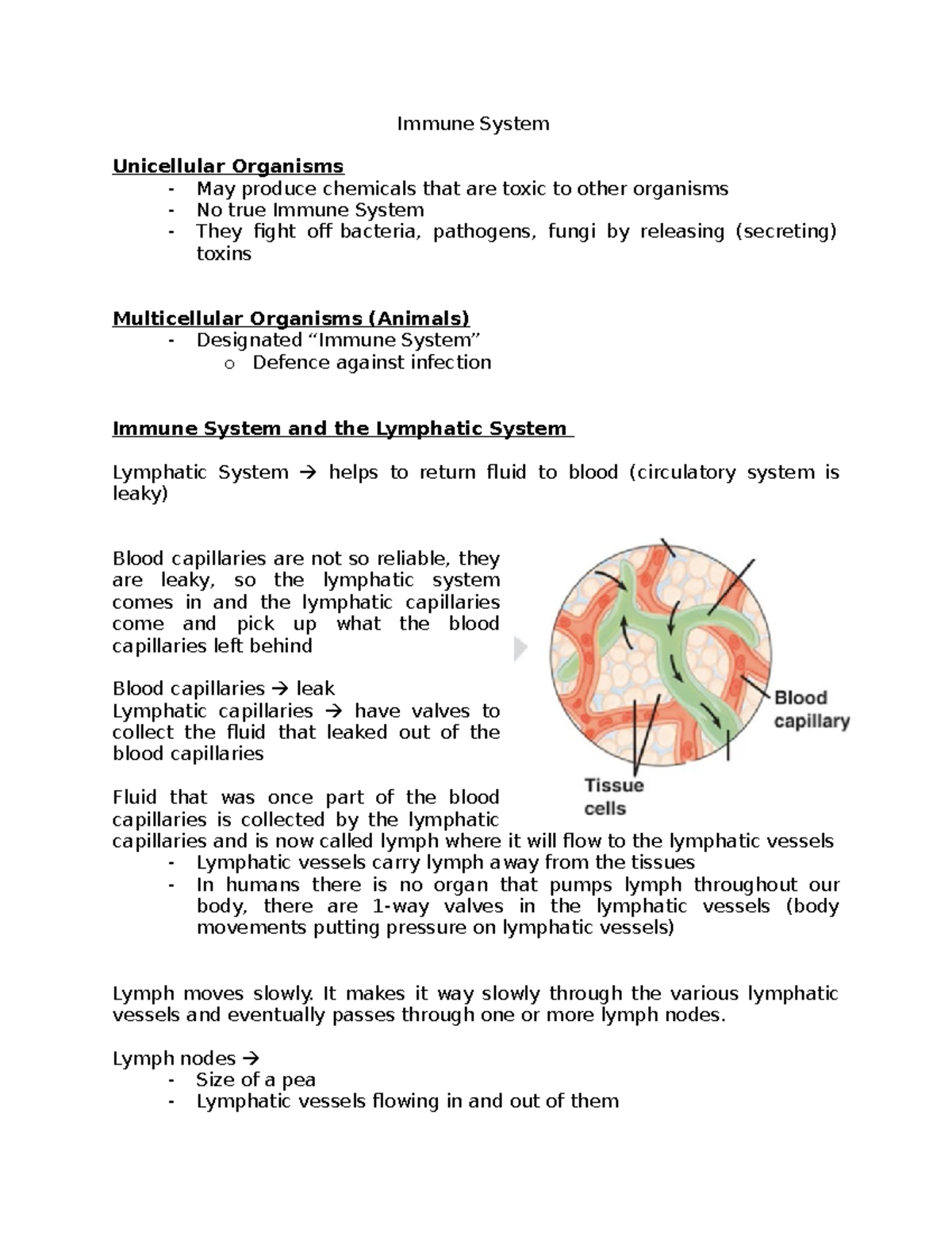 Immune System BIOL201 Lecture Concordia University - Immune System ...