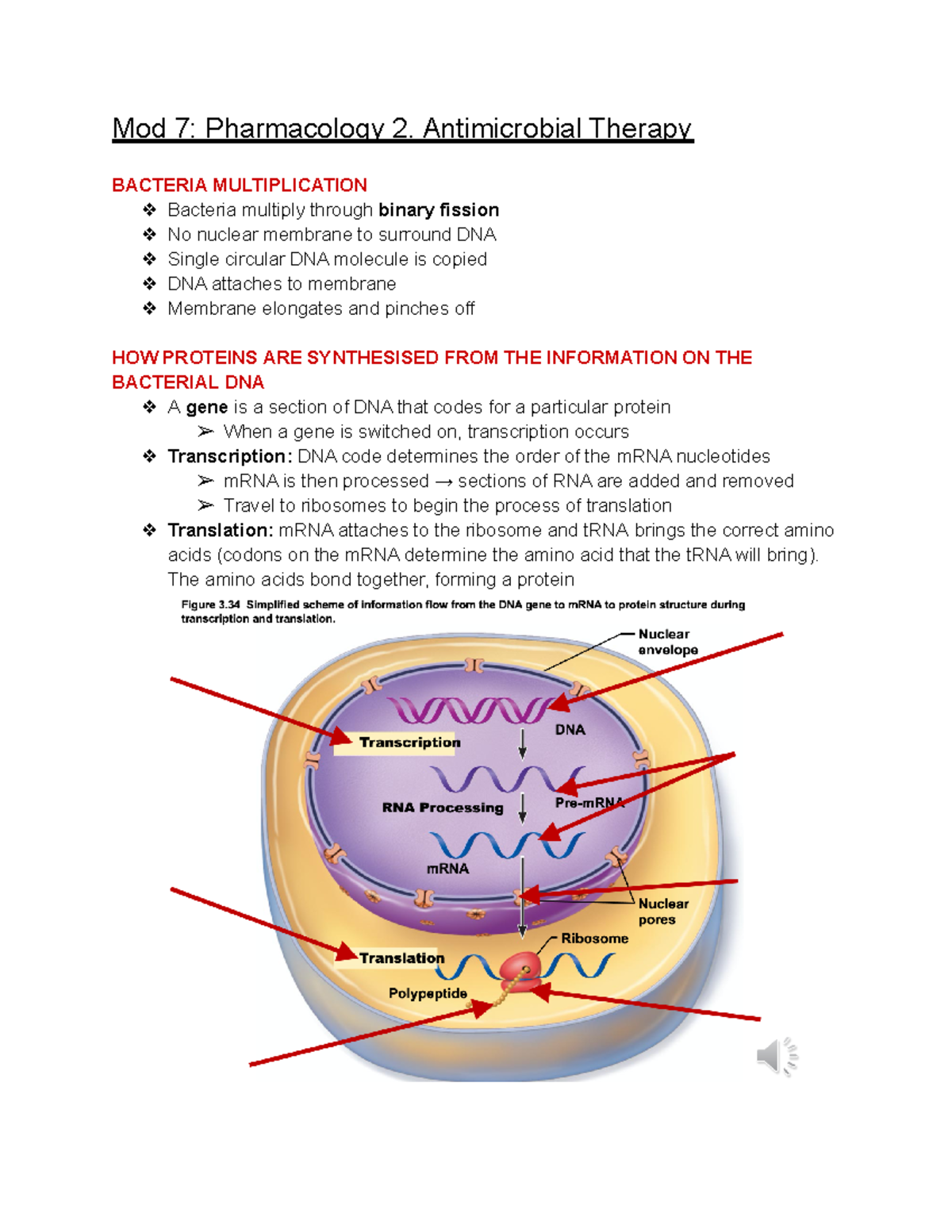 Bioscience 2 Mod 7 - Lecture notes 7 - Mod 7: Pharmacology 2 ...