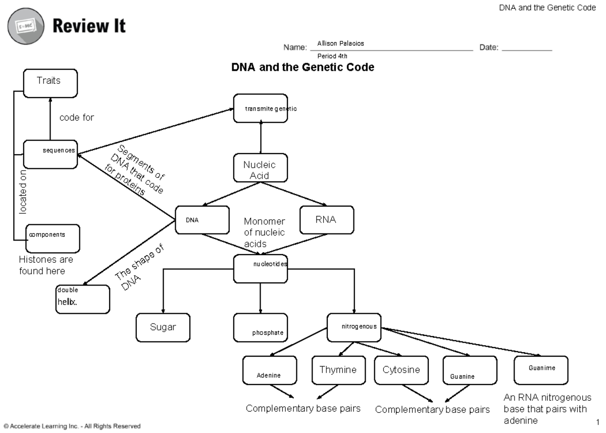 DNA - The Genetic Code (Handout) - DNA and the Genetic Code Traits RNA ...