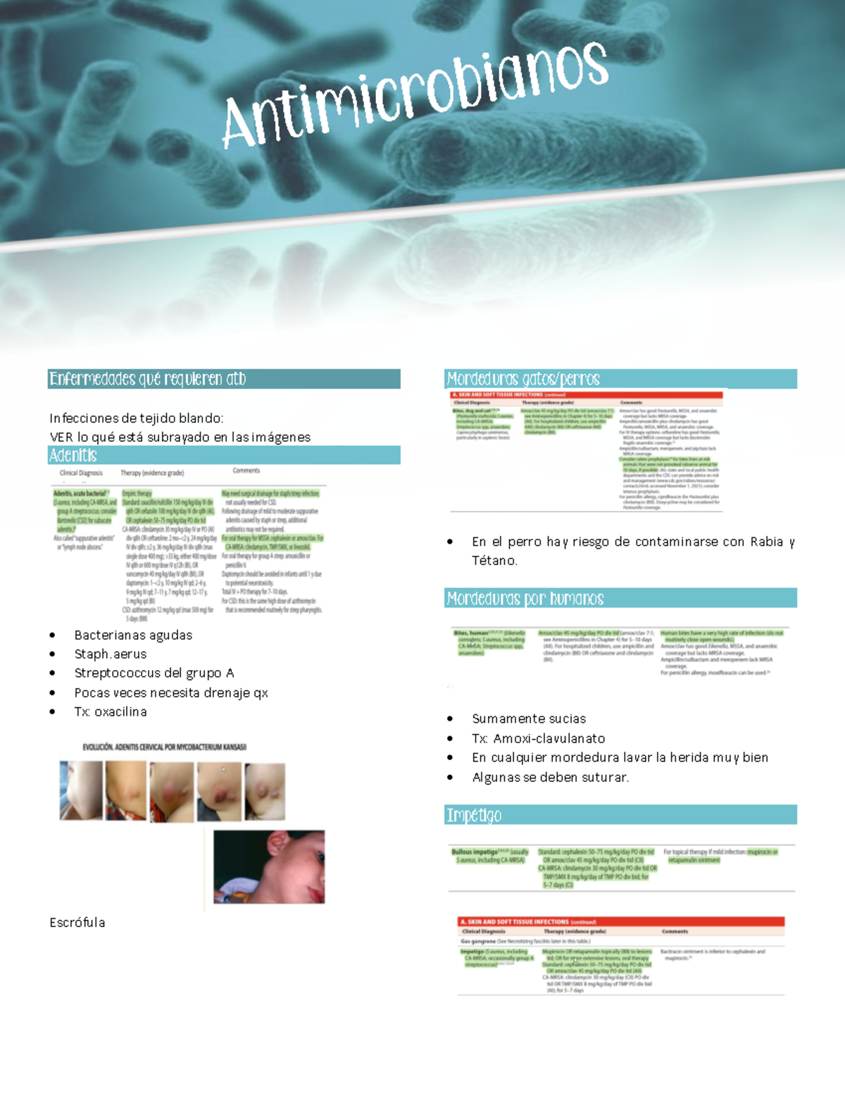 Antimicrobianos - Enfermedades qué requieren atb Infecciones de tejido ...
