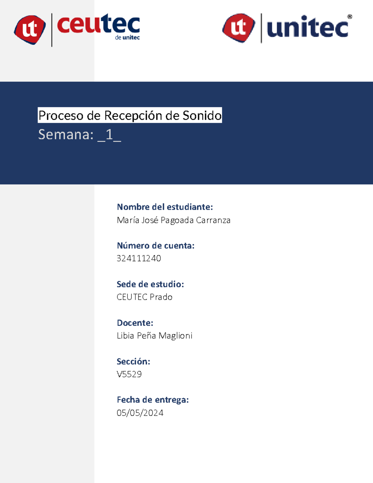 Proceso de Recepción de Sonido - Nombre del estudiante: María José ...