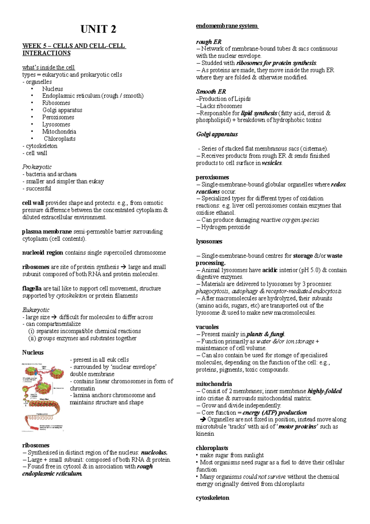 Sumarry UNIT 2 - Summary lecture notes - UNIT 2 WEEK 5 – CELLS AND CELL ...