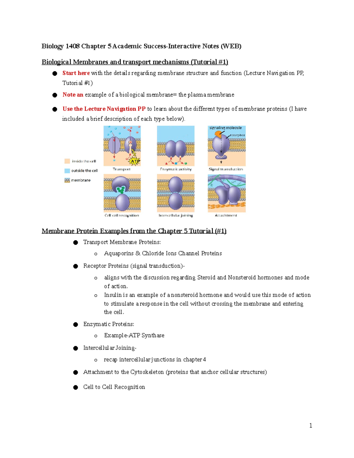 Chapter 5 - discusses biological membranes and transport mechanisms within our body - Biology ...