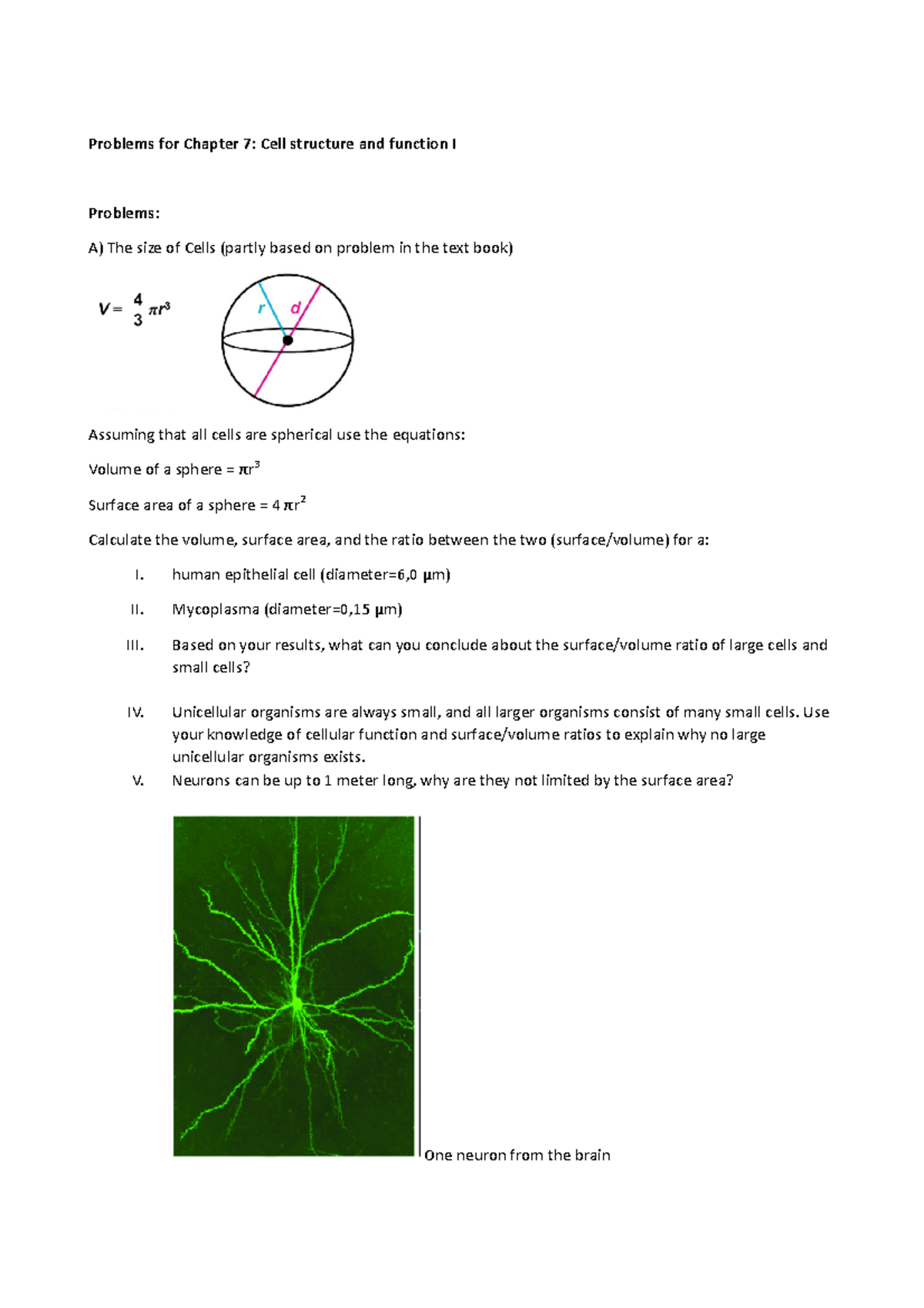 Questions to chap 7 PN 2020 Part 1 - Problems for Chapter 7: Cell structure and func琀椀on I ...