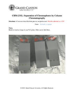 Worksheet Bacteria Protists - Bacteria, Archaea, and Protists Lab ...
