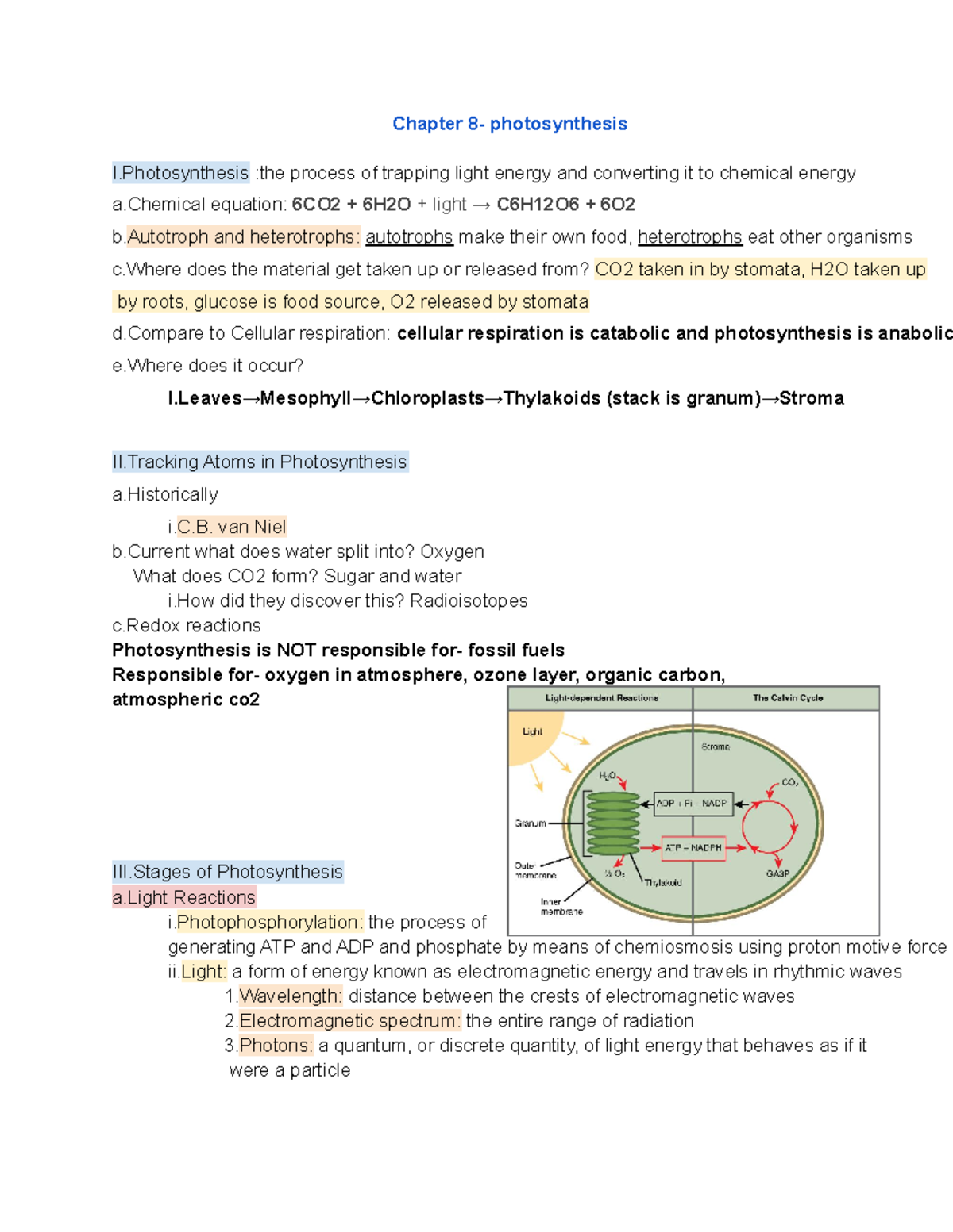 Chapter 8- photosynthesis - C. van Niel b what does water split into ...