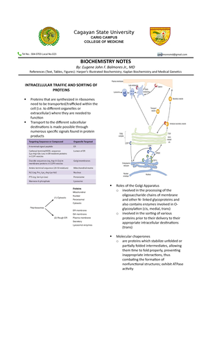 Nucleotides - : 304-0703 Local No ejbalmoresmd@gmail BIOCHEMISTRY NOTES ...