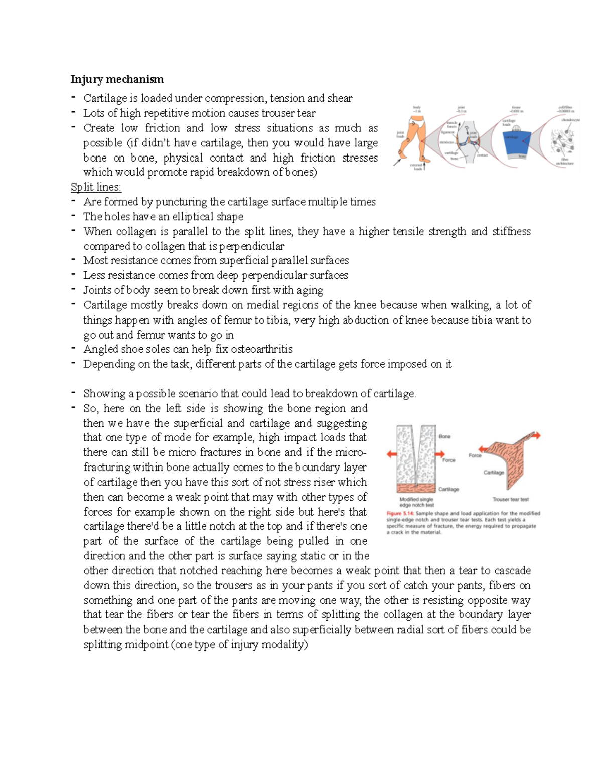 L9 - Professor Pearsall - Injury mechanism - Cartilage is loaded under ...