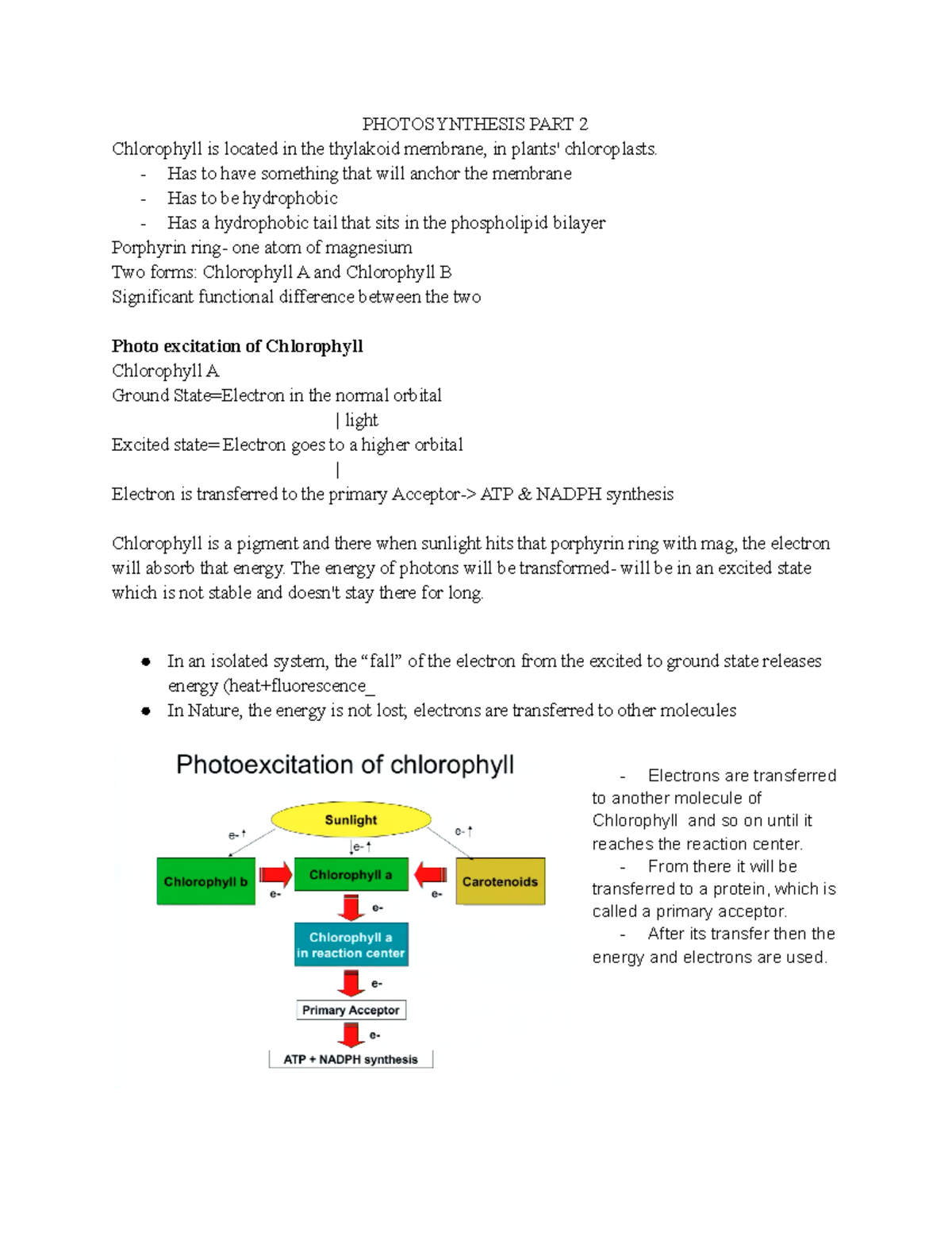Photosynthesis Part 2 - Lecture notes Self study - PHOTOSYNTHESIS PART ...