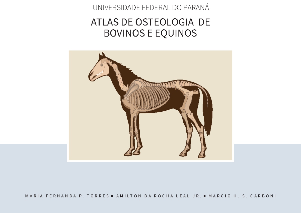( Versão Digital) Atlas de Osteologia - ATLAS DE OSTEOLOGIA DE ...