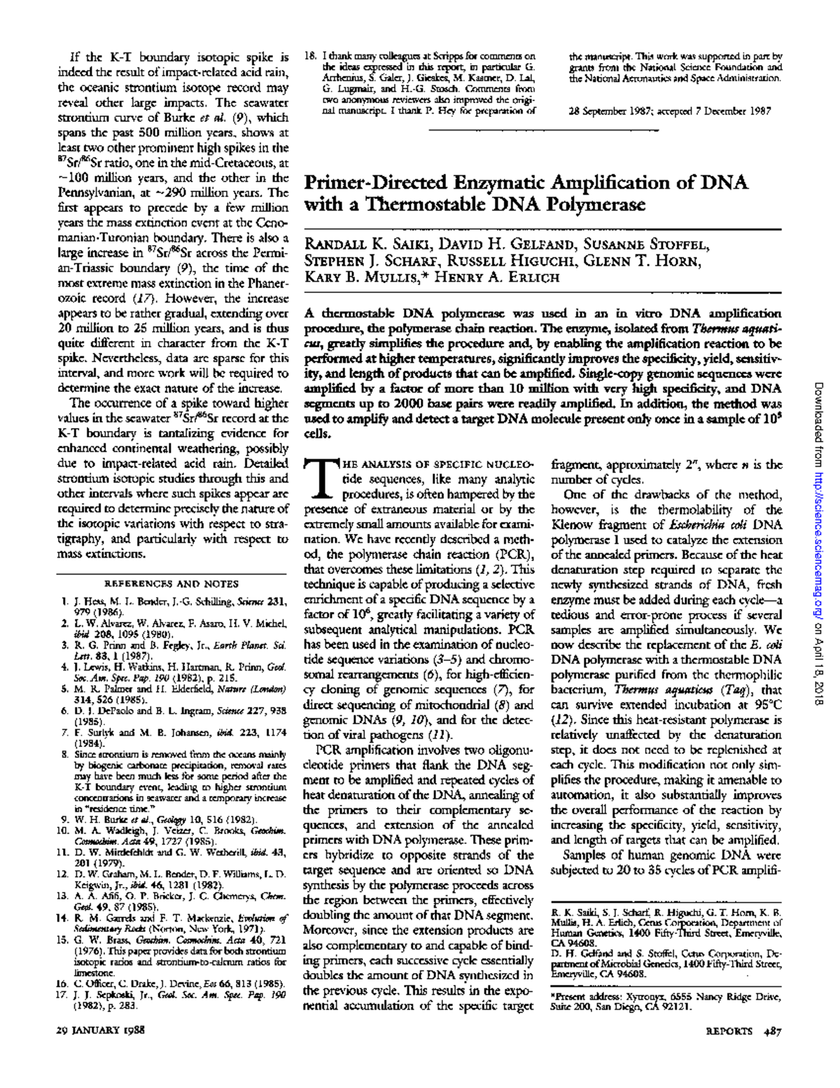 PCR - Saiki et al 1988 paper - extra reading - Ifthe K-Tboundary ...