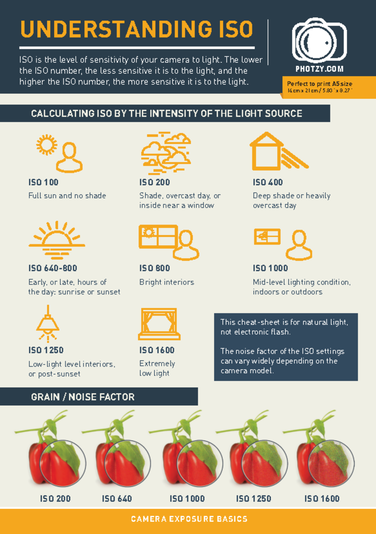 Photography _ Tips - CAMERA EXPOSURE BASICS ISO 100 Full sun and no shade ISO 200 Shade ...