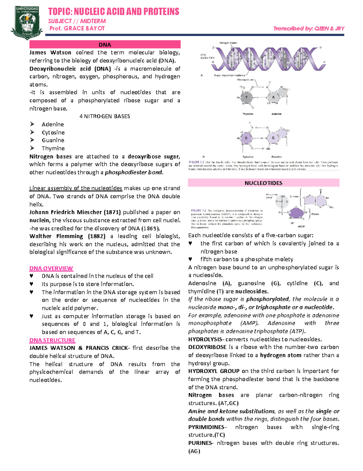 Nucleic Acid and Proteins (Outline) - SUBJECT // MIDTERM Prof. GRACE ...