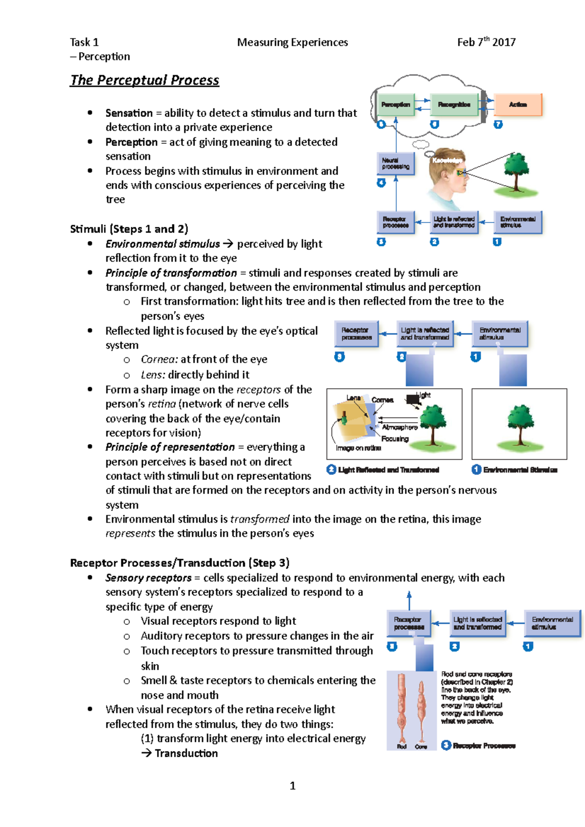 Task 1 - Perceptual Process - Perception The Perceptual Process ...