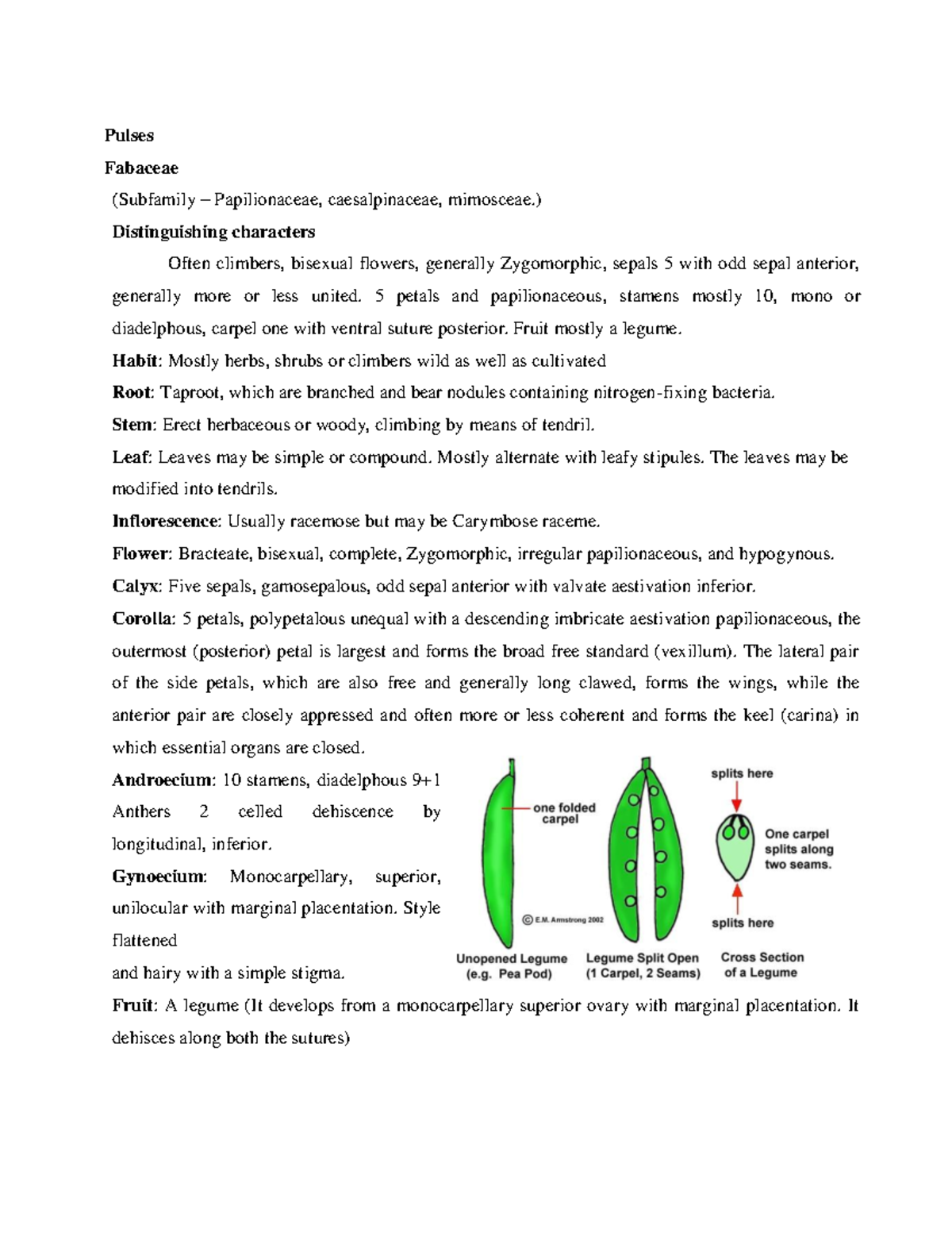 Classification of Plants pulses Cont 1 - Pulses Fabaceae (Subfamily ...