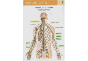 Laboratory Plan I(2) - lab plan - Laboratory Plan I: Lab 1: The ...
