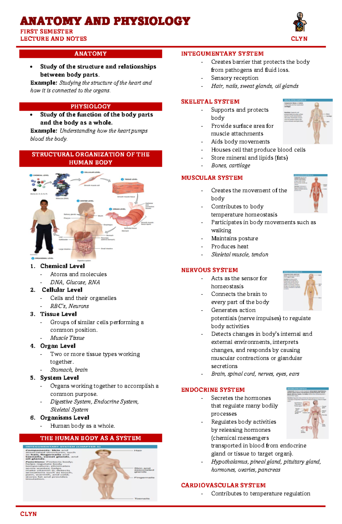 Anaphy - gagaa - FIRST SEMESTER LECTURE AND NOTES CLYN ANATOMY Study of ...