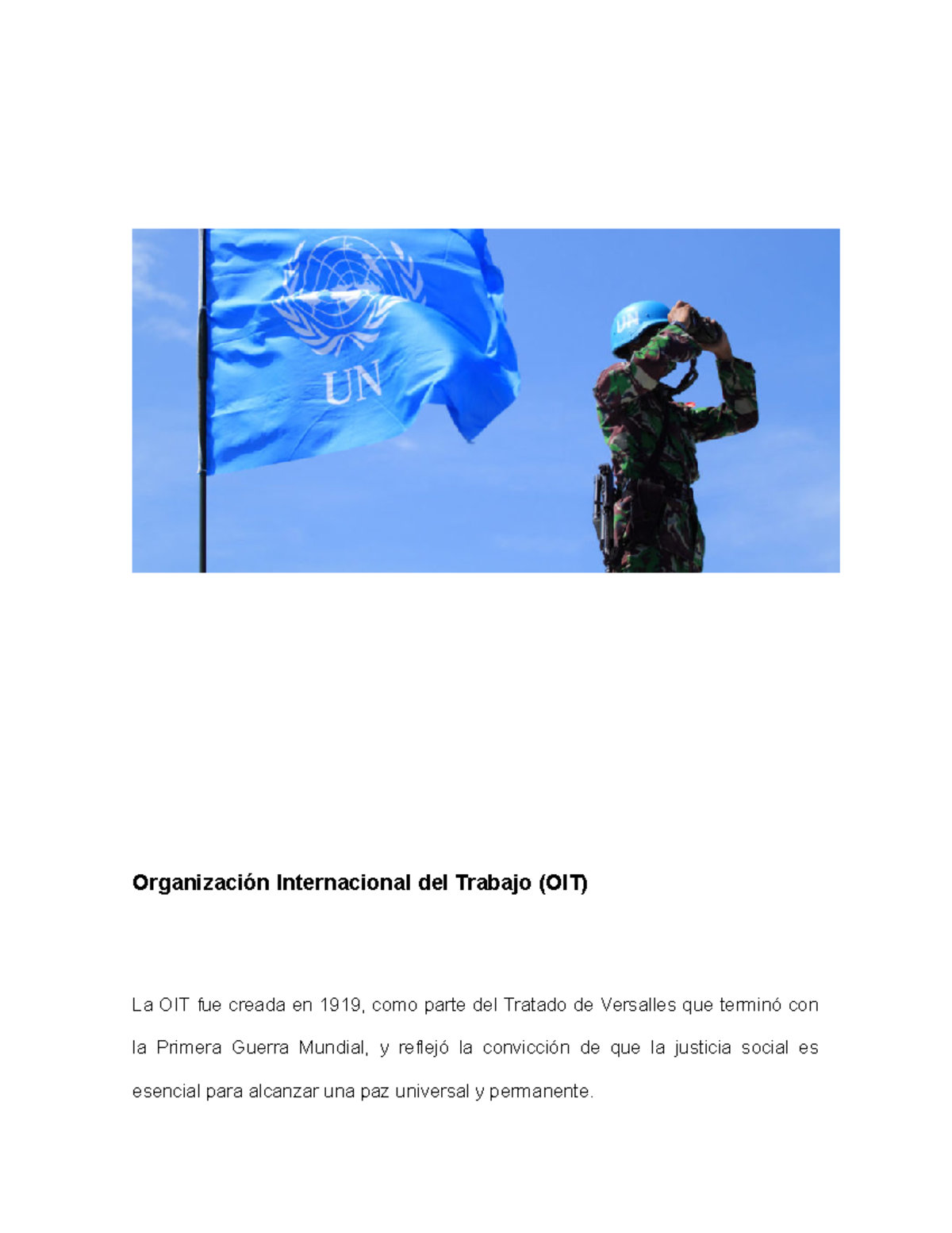 Agencias DE LA ONU - Organización Internacional del Trabajo (OIT) La ...