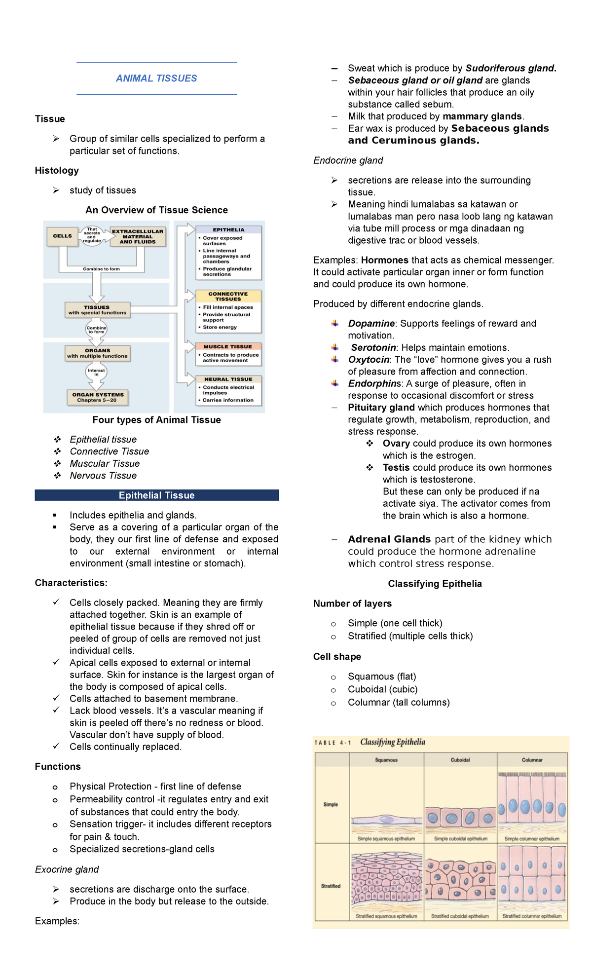 Animal- Tissues- Notes - ANIMAL TISSUES Tissue Group of similar cells ...