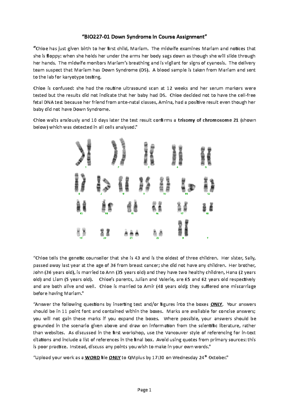 Down Syndrome Assignment - Genetic Disorders - “BIO227-01 Down Syndrome ...