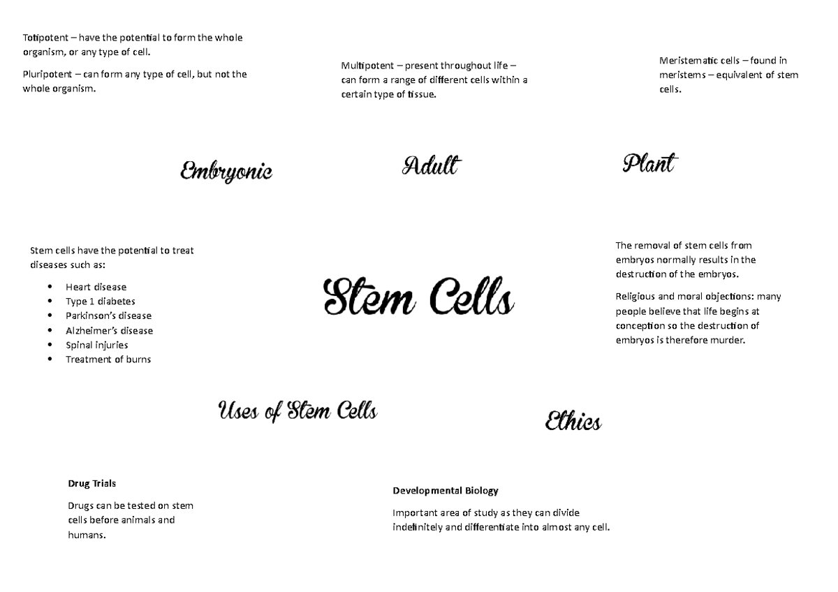 Stem Cells mindmap - Totipotent – have the potential to form the whole organism, or any type of ...