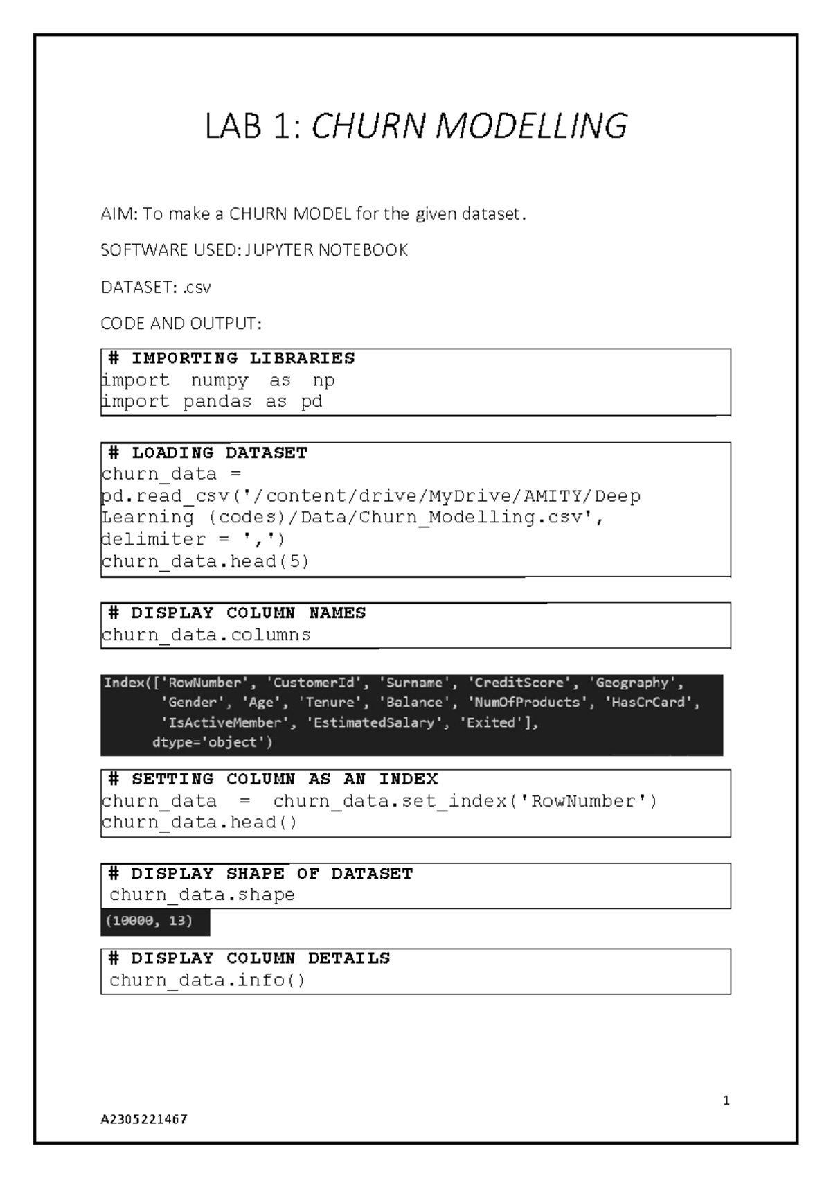 Gen AI Lab File - 1 LAB 1: CHURN MODELLING AIM: To make a CHURN MODEL ...