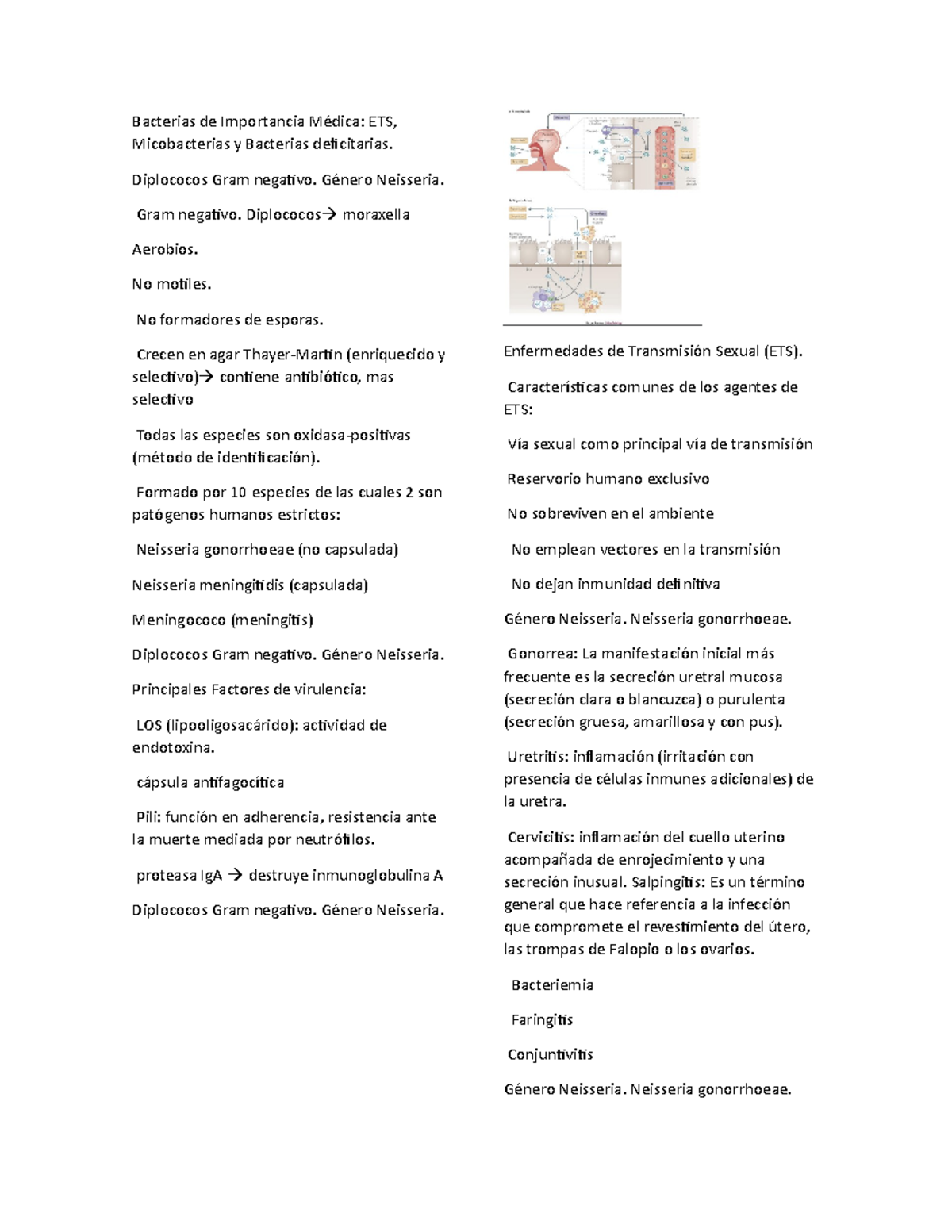 ETS - resumen de ets de la asignatura de microbiologia - Bacterias de Importancia Médica: ETS ...