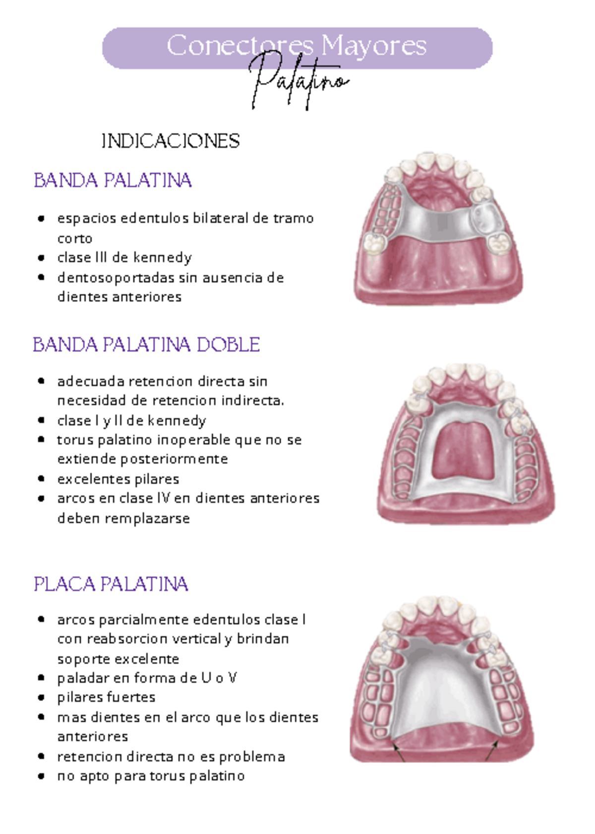 CONECTORES MAYORES Y MENORES - Conectores Mayores Palatino espacios ...