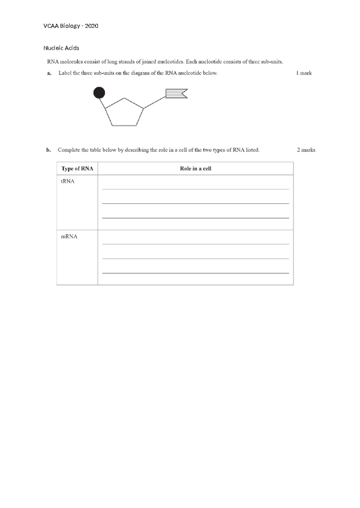 2020 Nucleic acids - free access please :) - VCAA Biology 2020 Nucleic ...