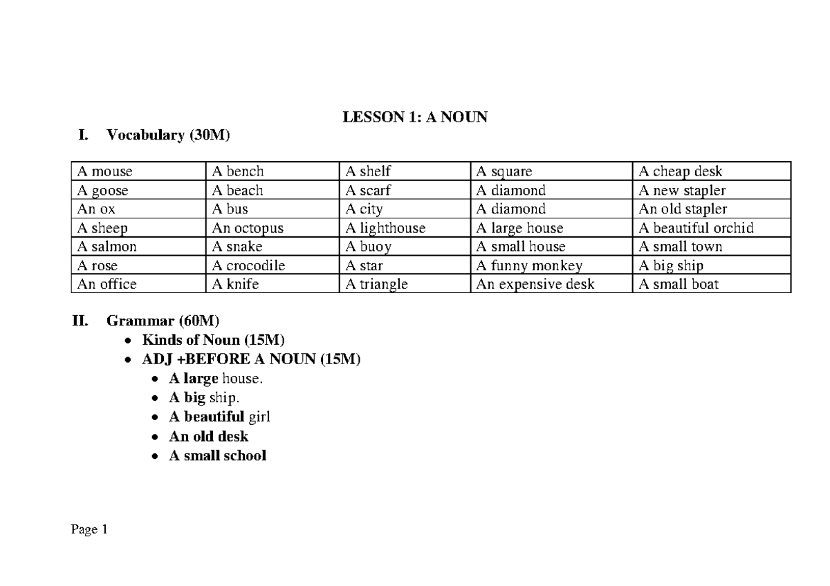 Foundation 2 - Help student learn basic english - LESSON 1: A NOUN I ...