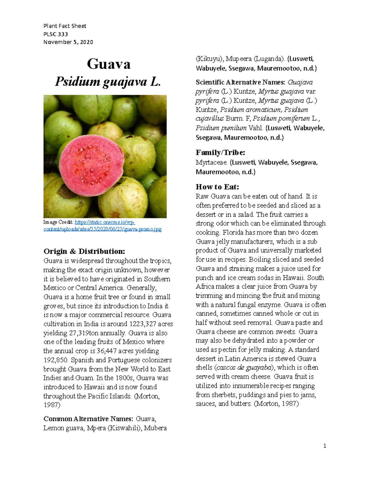 Guava Fact Sheet - Plant Fact Sheet PLSC 333 November 5, 2020 Guava ...
