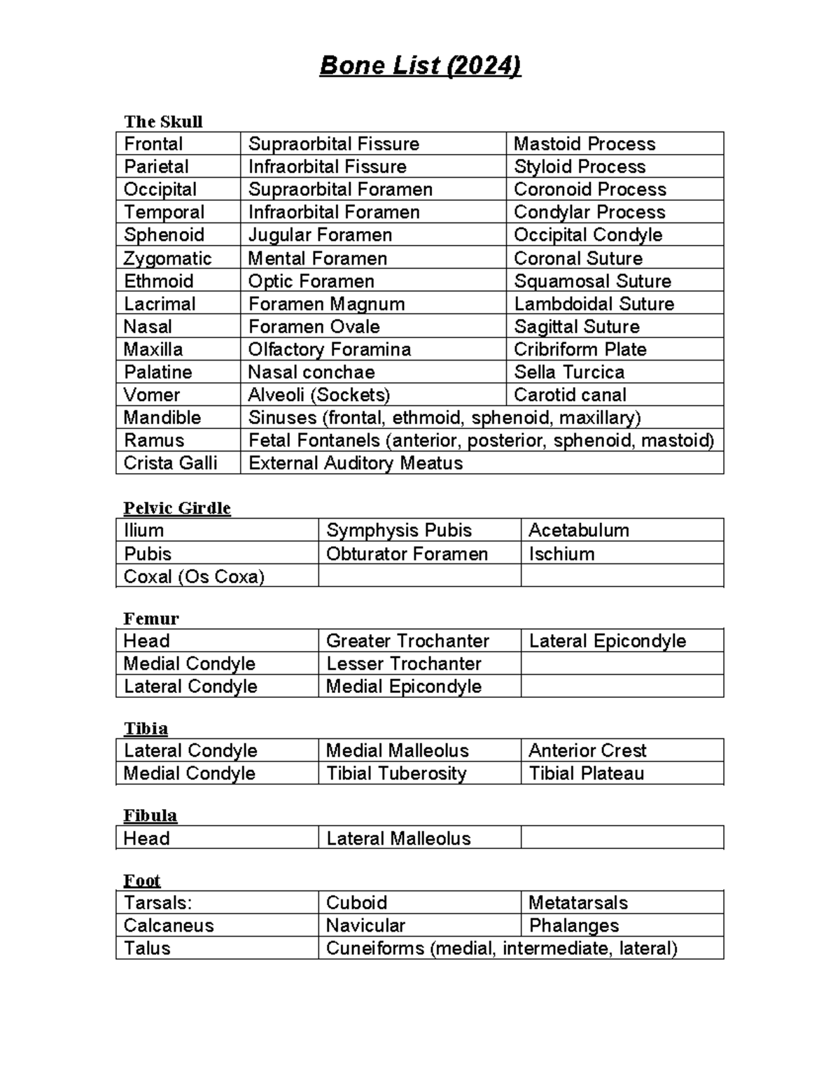 Bone List 2024 - 4…. - Bone List (2024) The Skull Frontal Supraorbital Fissure Mastoid Process ...