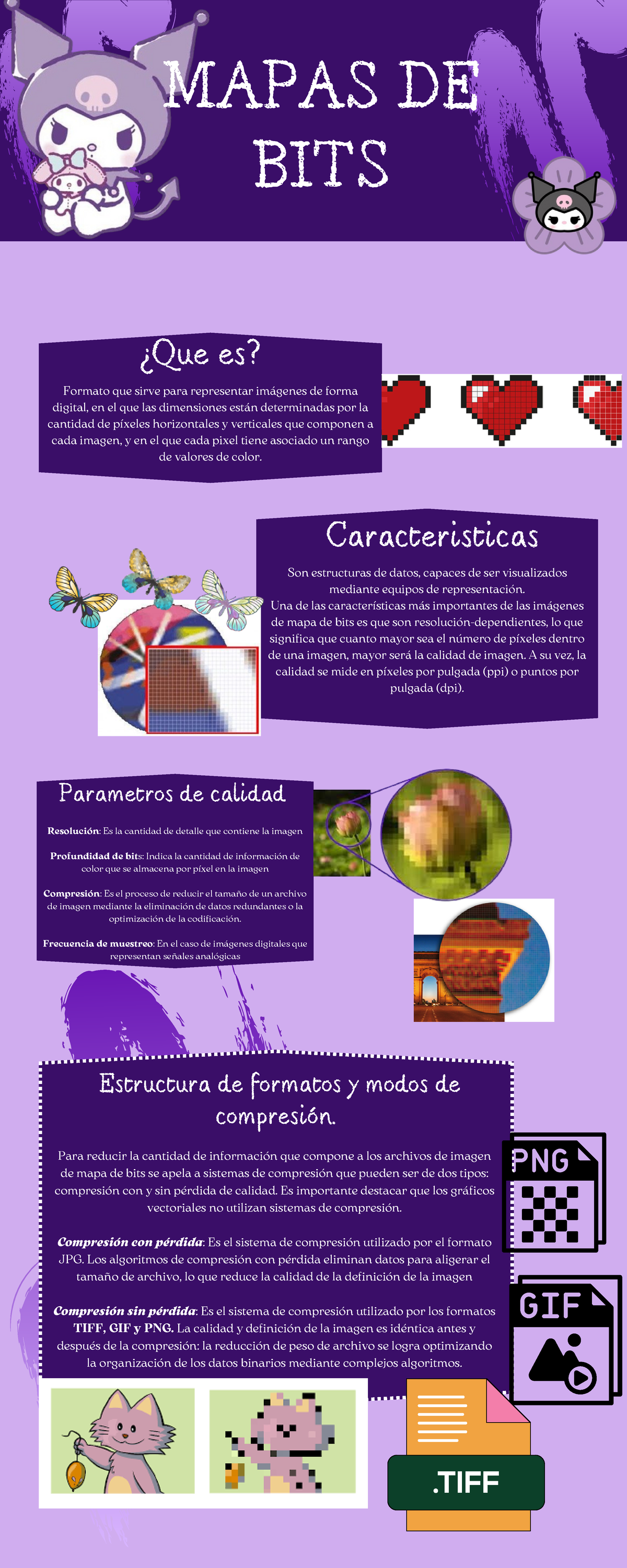 Infografia actividad 3 - MAPAS DE BITS Formato que sirve para ...