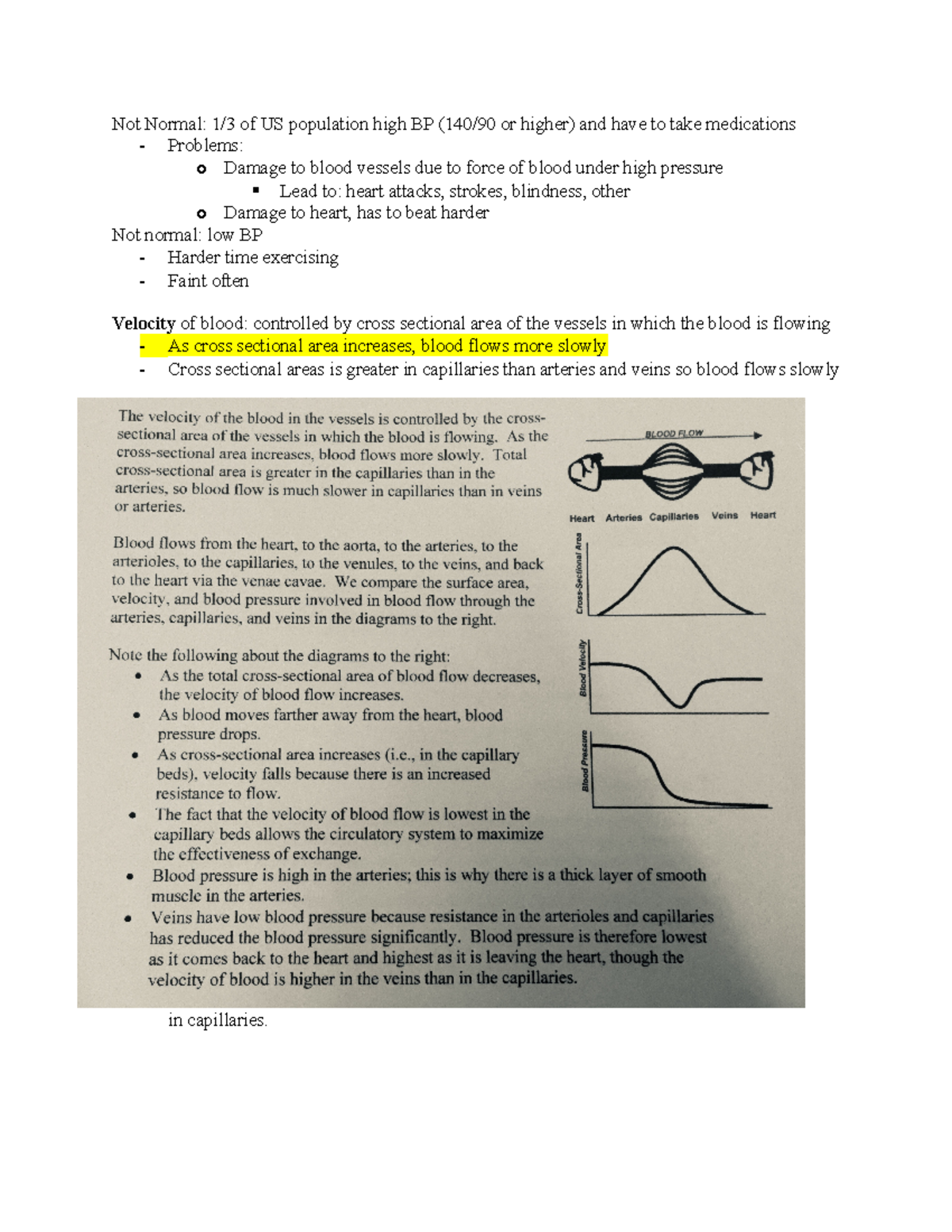Blood Pressure - Lecture notes 36 - Not Normal: 1/3 of US population ...