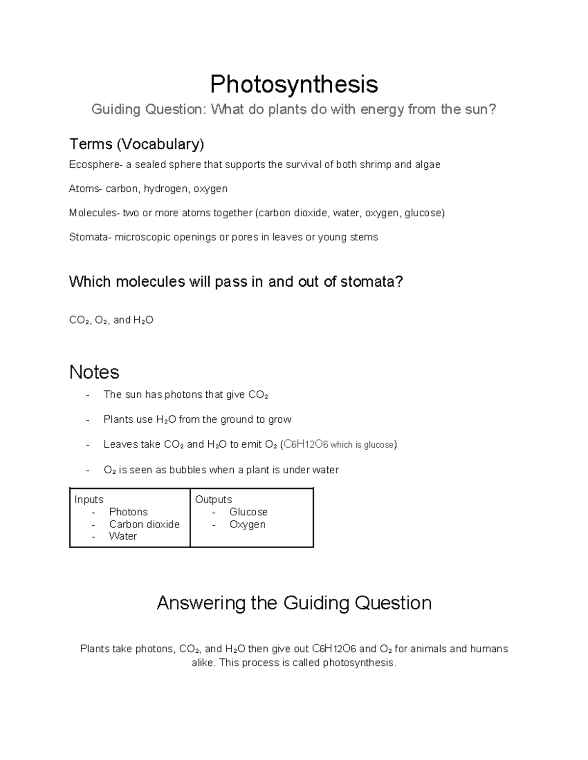 Photosynthesis (Mrs.Steadman's Biology Class) - Photosynthesis Guiding ...
