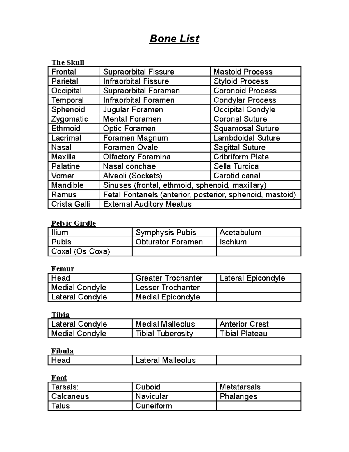 Bone List 2017 - bone list 2017 - Bone List The Skull Frontal ...