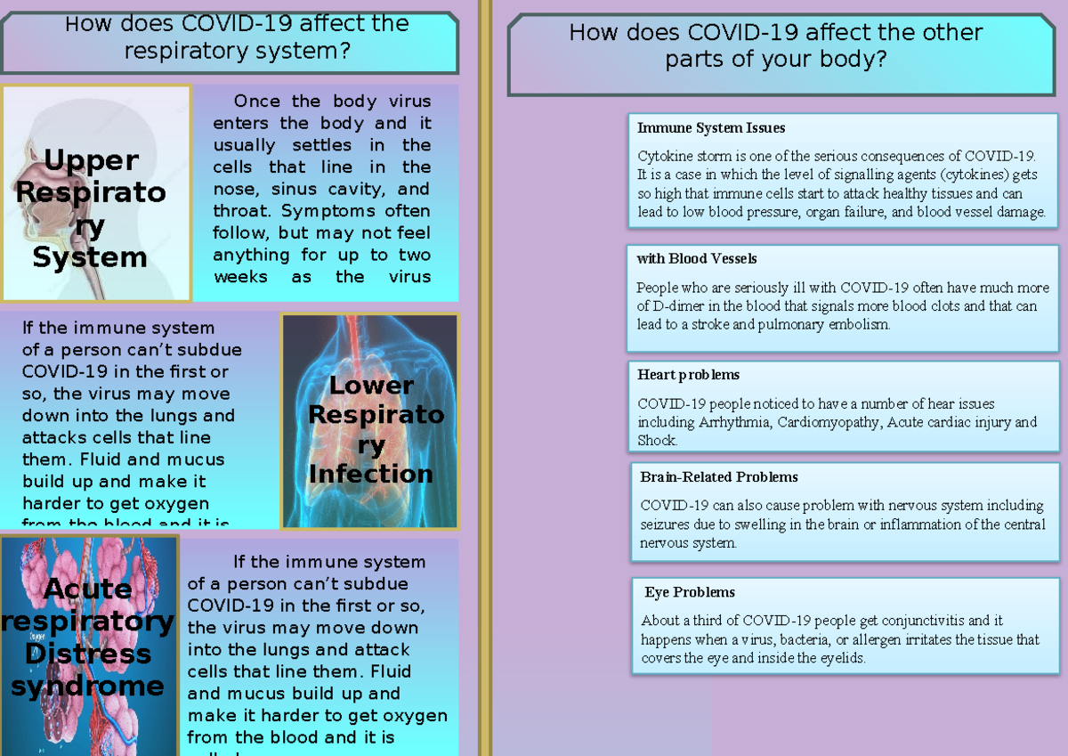 NEW BROchure - Anything under the sun - Immune System Issues Cytokine ...