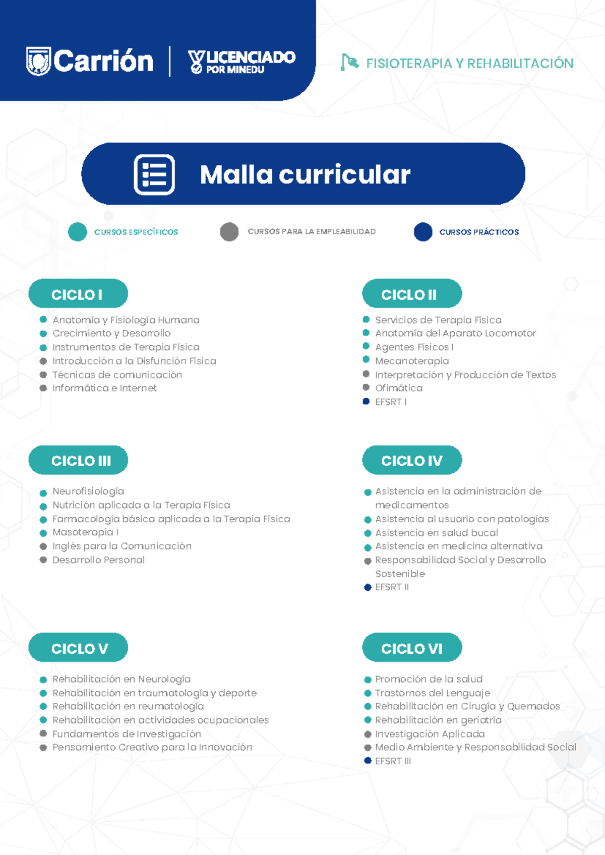 Carrion-Malla-Fisioterapia - Malla curricular CURSOS ESPECÍFICOS CURSOS PARA LA EMPLEABILIDAD ...
