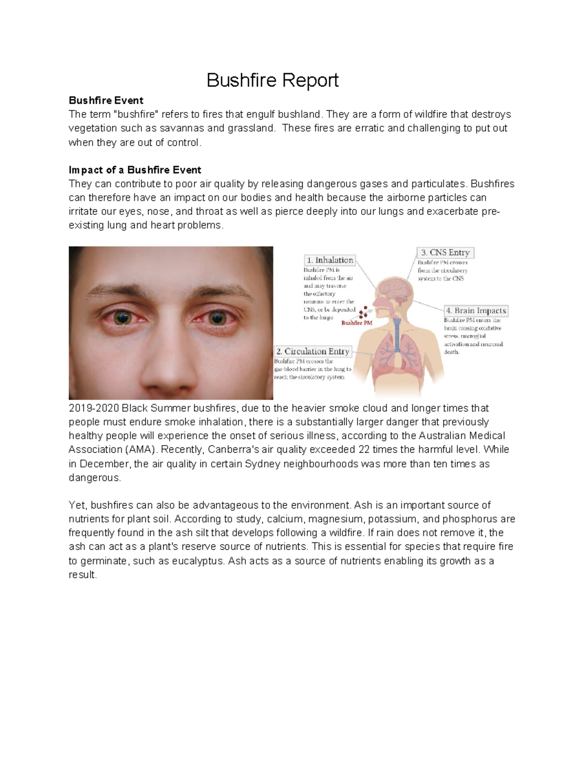 Bushfire Report - Bushfire Report Bushfire Event The term "bushfire ...