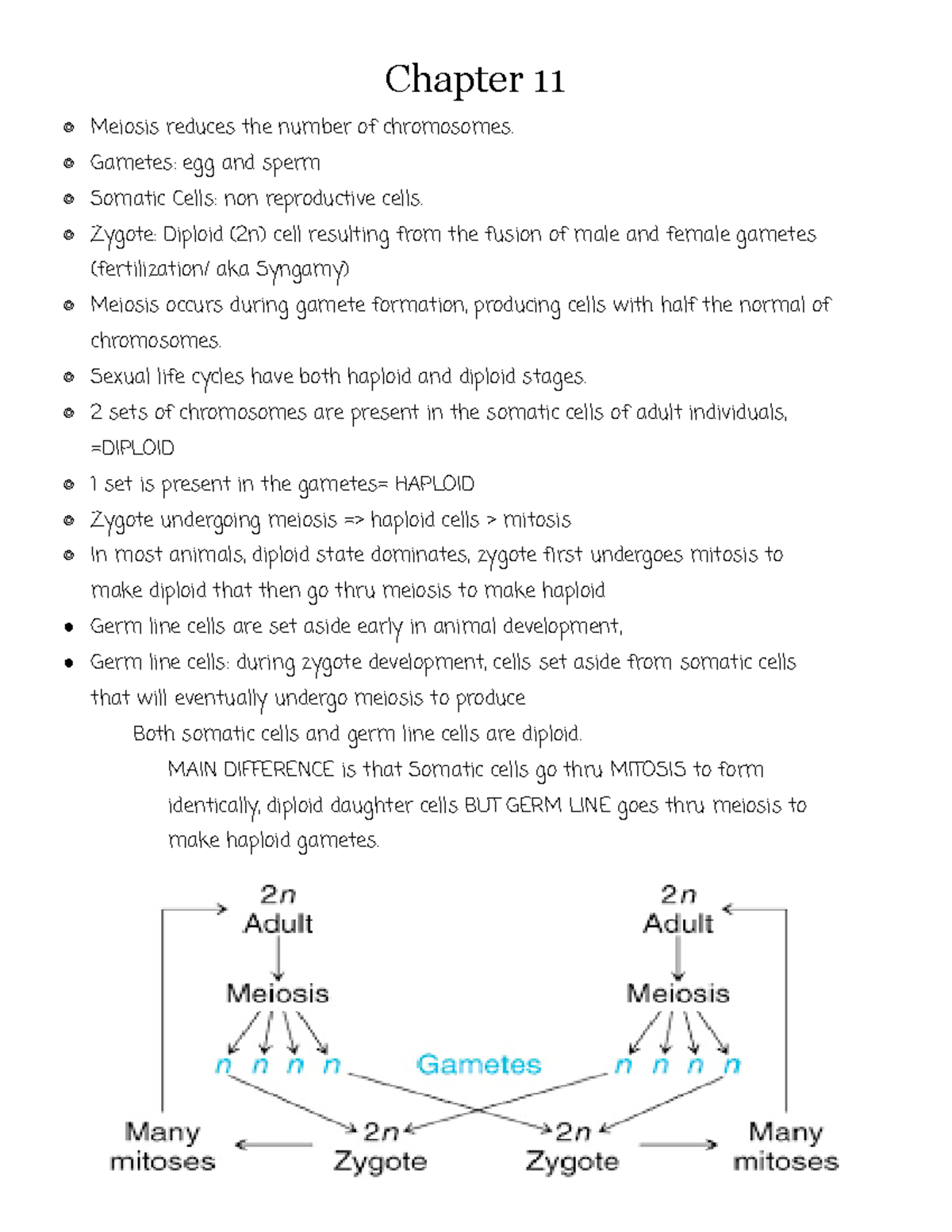 Notes for Chapter 11 - Chapter 11 ⭗ Meiosis reduces the number of ...