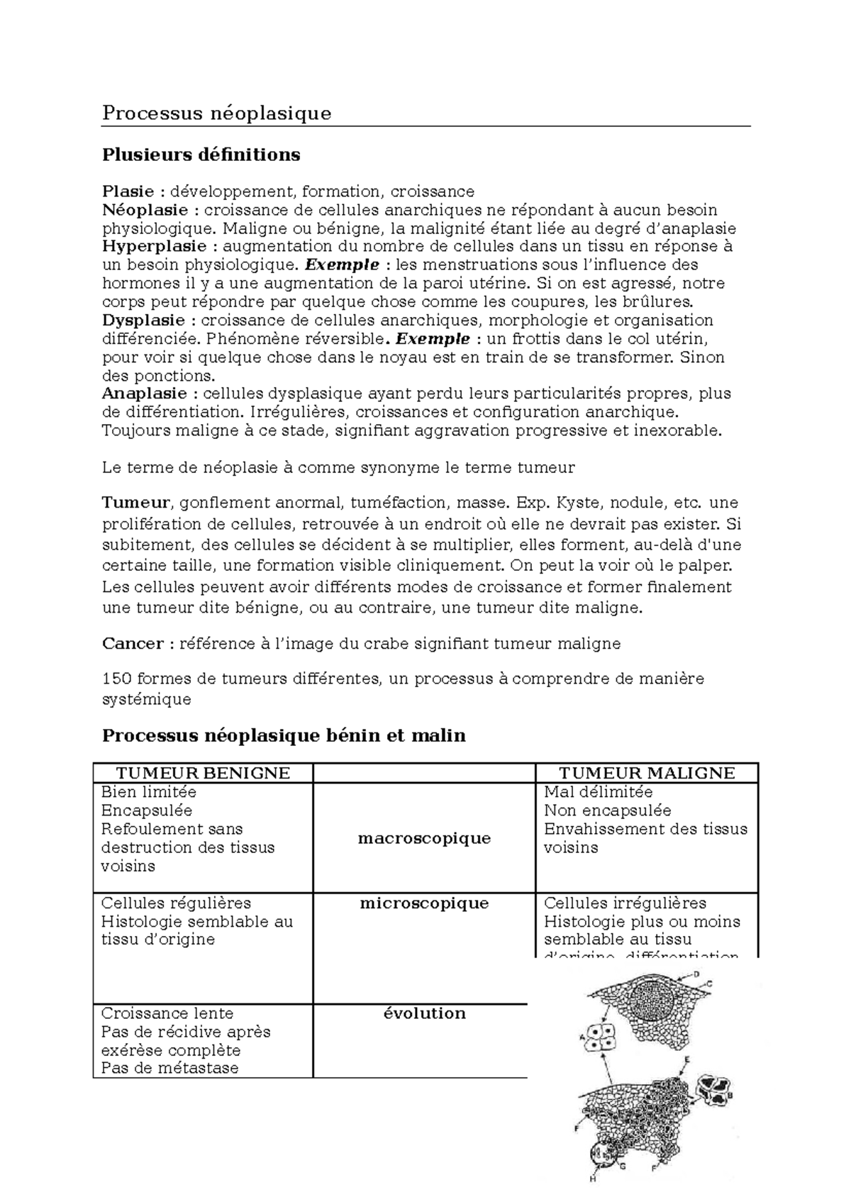 Processus néoplasique - Processus néoplasique Plusieurs définitions ...