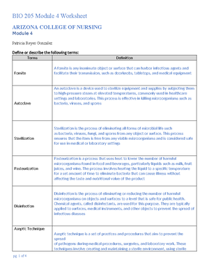 Arizona College Module 8 Worksheet - BIO 205 Module 8 Worksheet ARIZONA ...