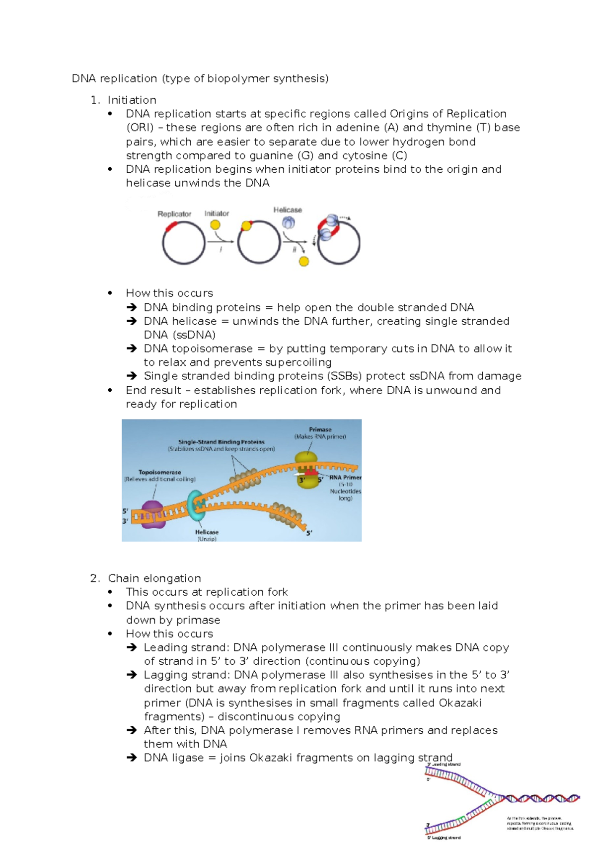 DNA replication - Initiation DNA replication starts at specific regions ...