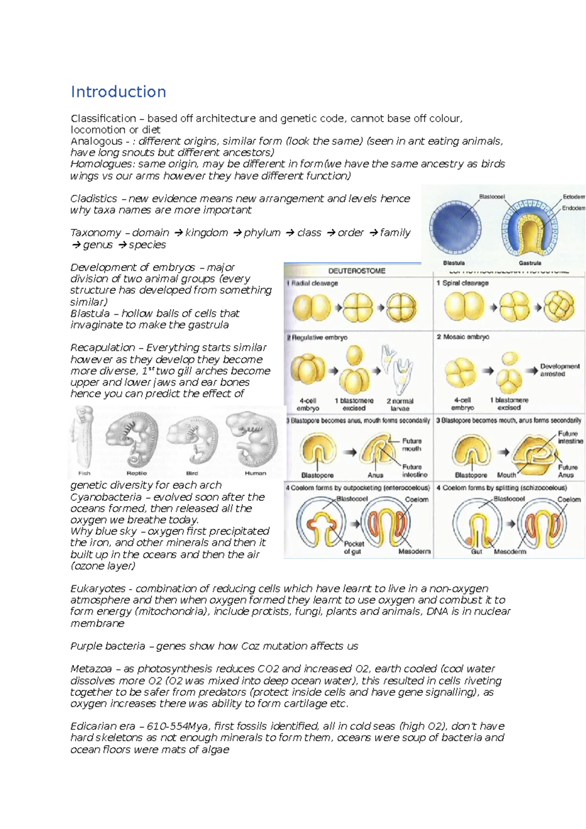 Summary - notes on few lectures - Introduction Classification based off ...