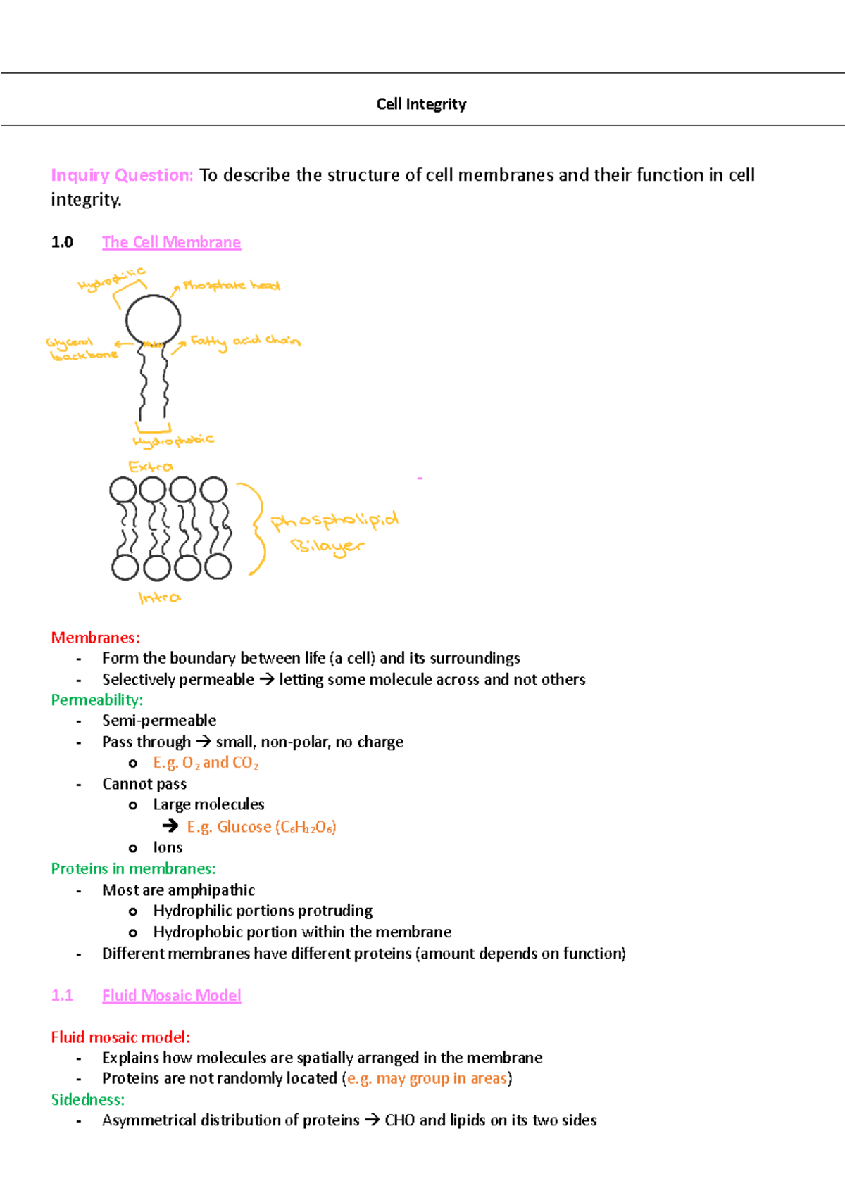 Cell Integrity - Cell Integrity Inquiry Question: To describe the ...