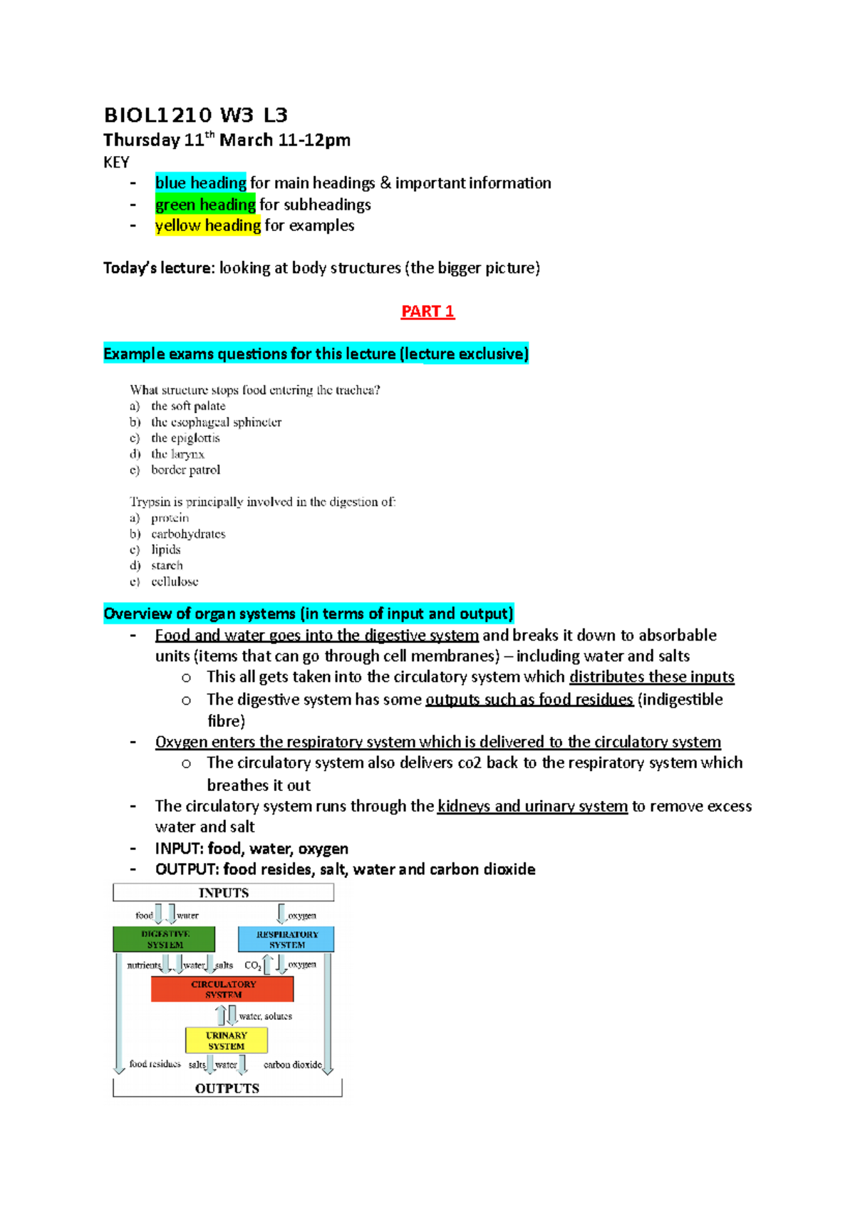 BIOL1210 W3 L3 - The digestive system - the different systems and its ...