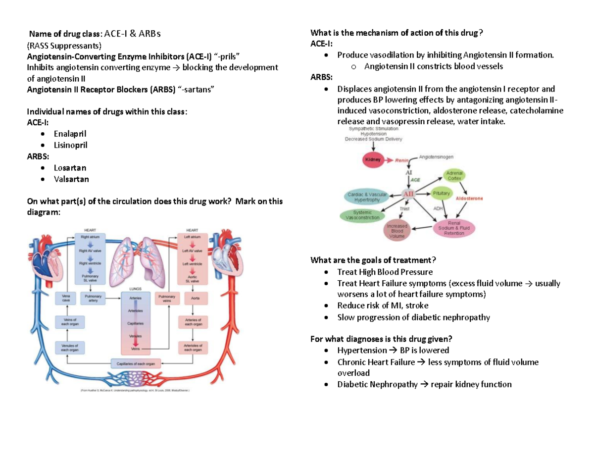 Circulatory drugs - ACEI&ARBS - Name of drug class : ACE-I & ARBs (RASS ...