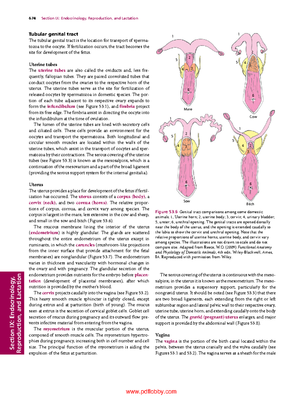 Text book-688 - Pendidikan kesehatan - 674 Section IX: Endocrinology ...