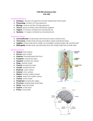 CSD 208 (anatomy) Intro - CSD 208 (anatomy) Intro 1/18-1/ Important ...