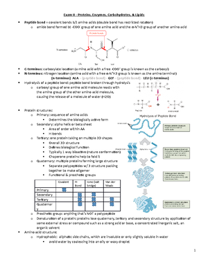 Final Exam Study Guide - Biochem Winter 17-18 Final Exam Know the ...
